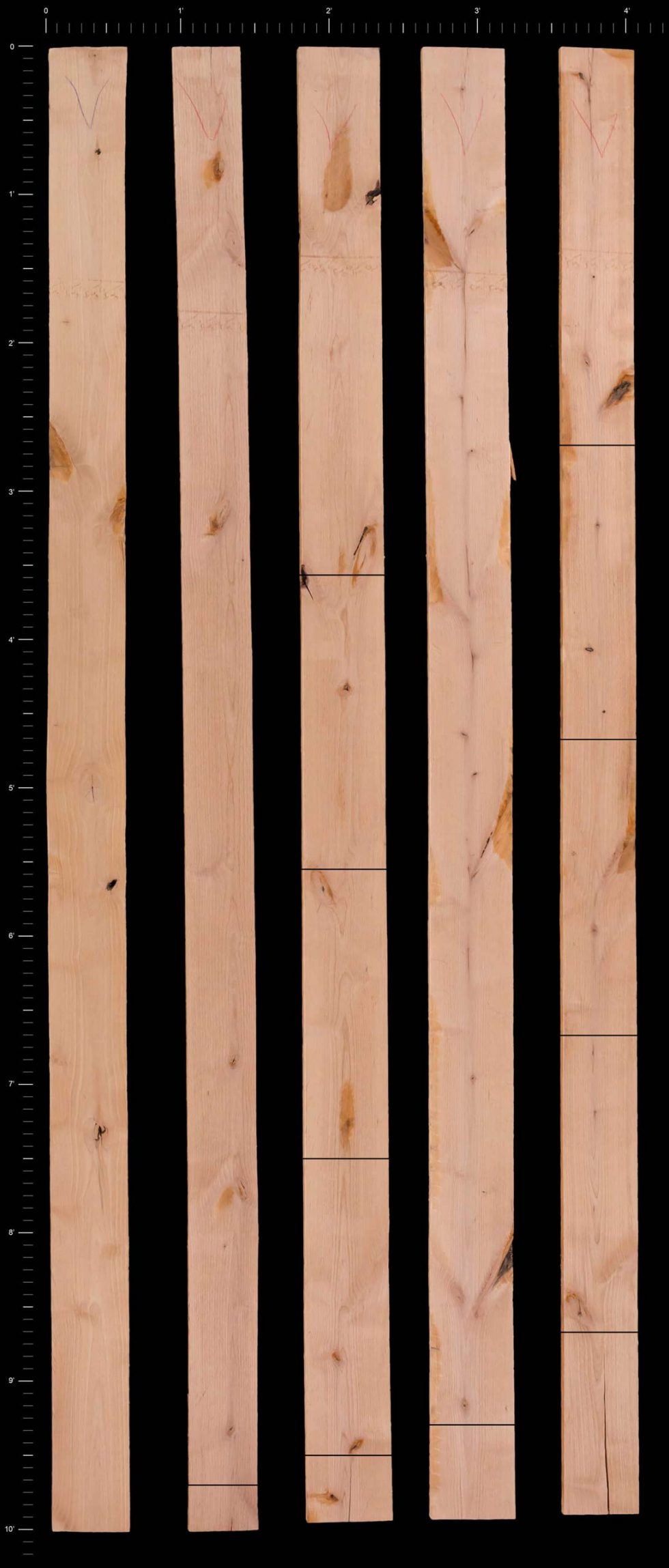 Alder Rustic|Cascade Hardwood Group